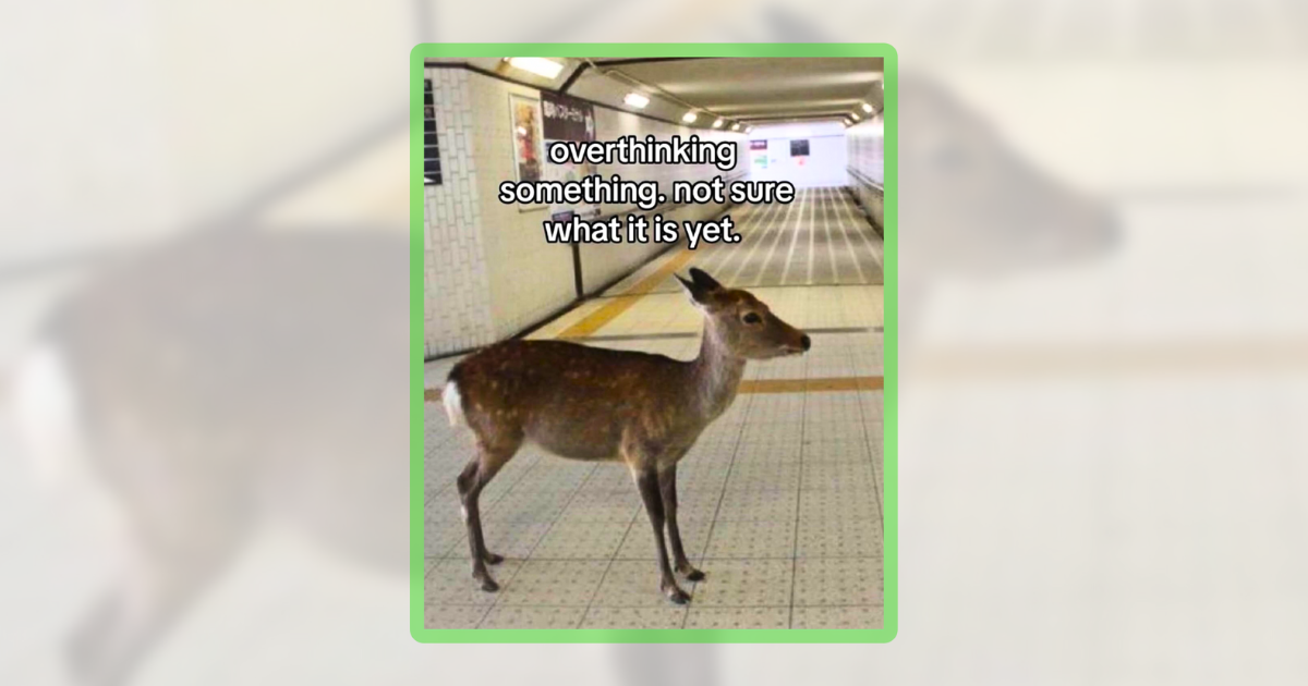 22 Fawntastic Deer Memes for Nature Lovers Needing a Dose of ...