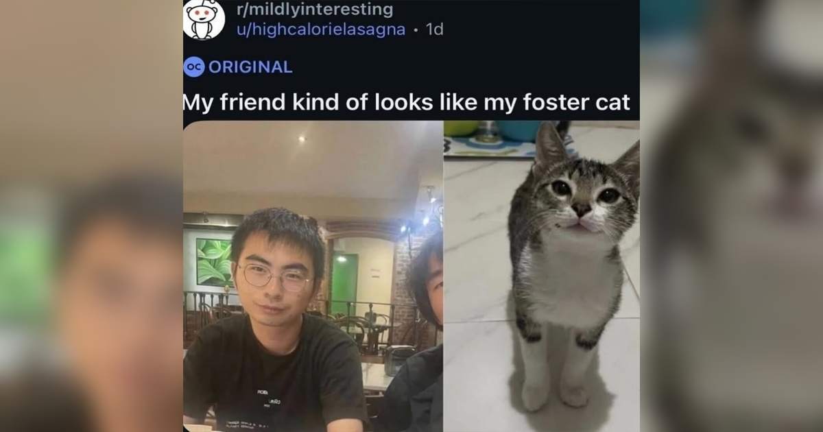 The Funniest Reddit Posts of the Week - Memebase - Funny Memes