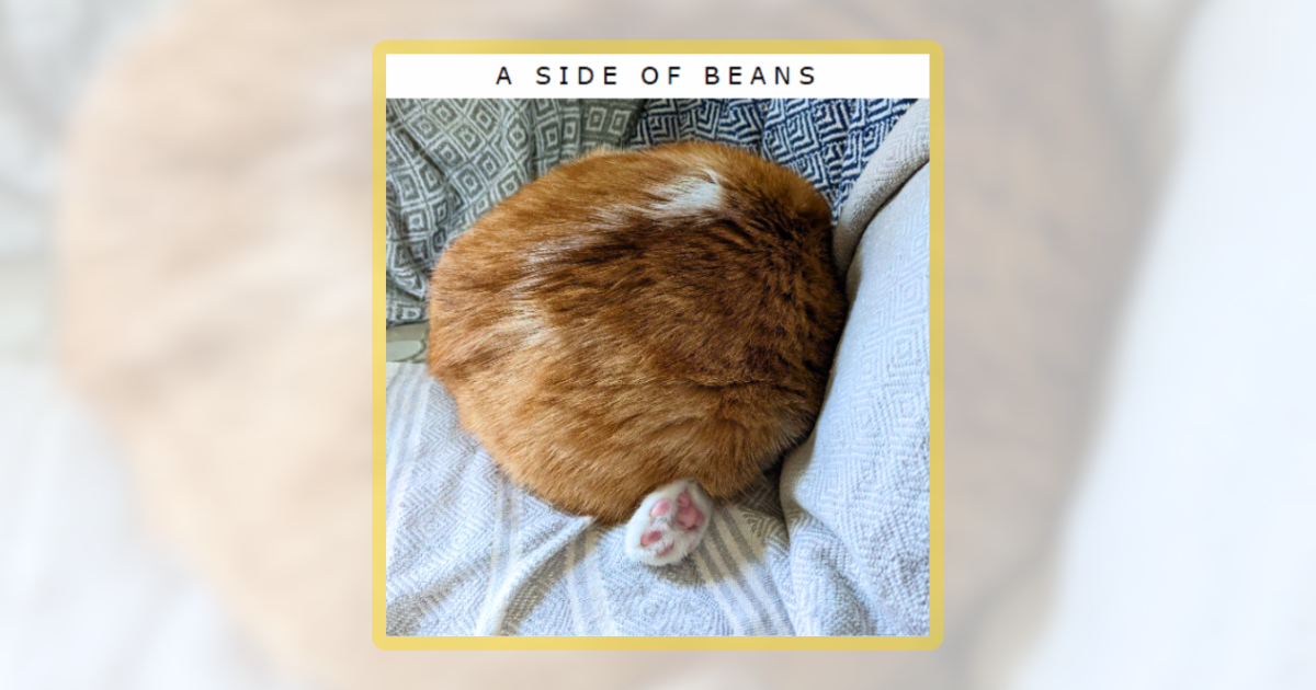 20 Silly Billy Beans to Paws the Day and Think About Cute Cats - I Can ...