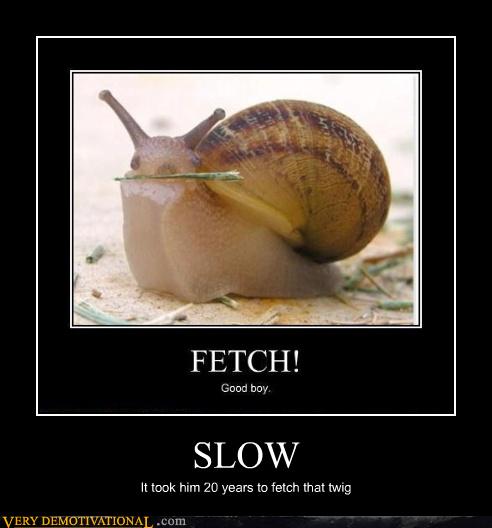 Memebase - slow - Page 2 - All Your Memes In Our Base - Funny Memes ...