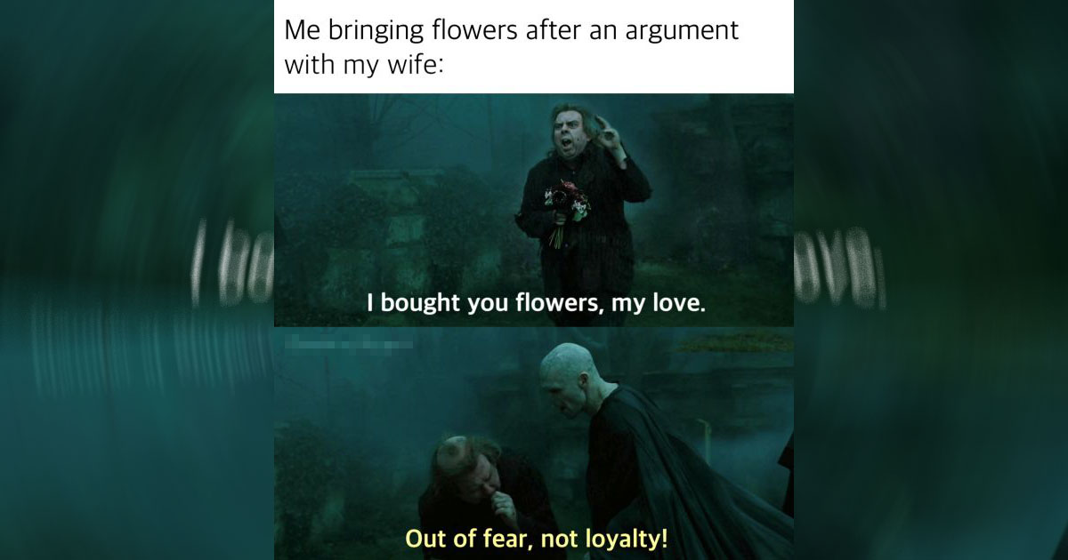 The Best Harry Potter Memes of the Week - Memebase - Funny Memes