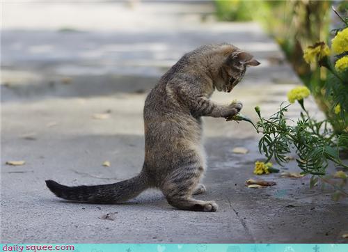 Daily Squee - Cute Animals - Cute Baby Animals - Cute Animal Pictures ...