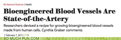 Puns - touché - Funny Puns - Pun Pictures - Cheezburger