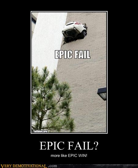 Epic Fail Cat Win