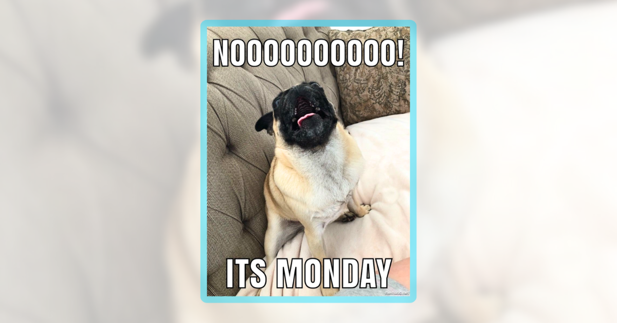 Monday Motivation Made of 23 Dog Memes Delivering Doggo Goodness ...