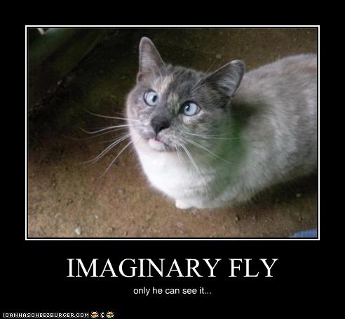 Derp - cross eyed - Derp Face Derps - hurr durr derp face - derp ...