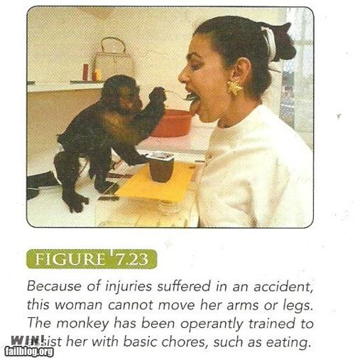 Hacked IRL: Awesome Helper Monkey - WIN! - epic win photos