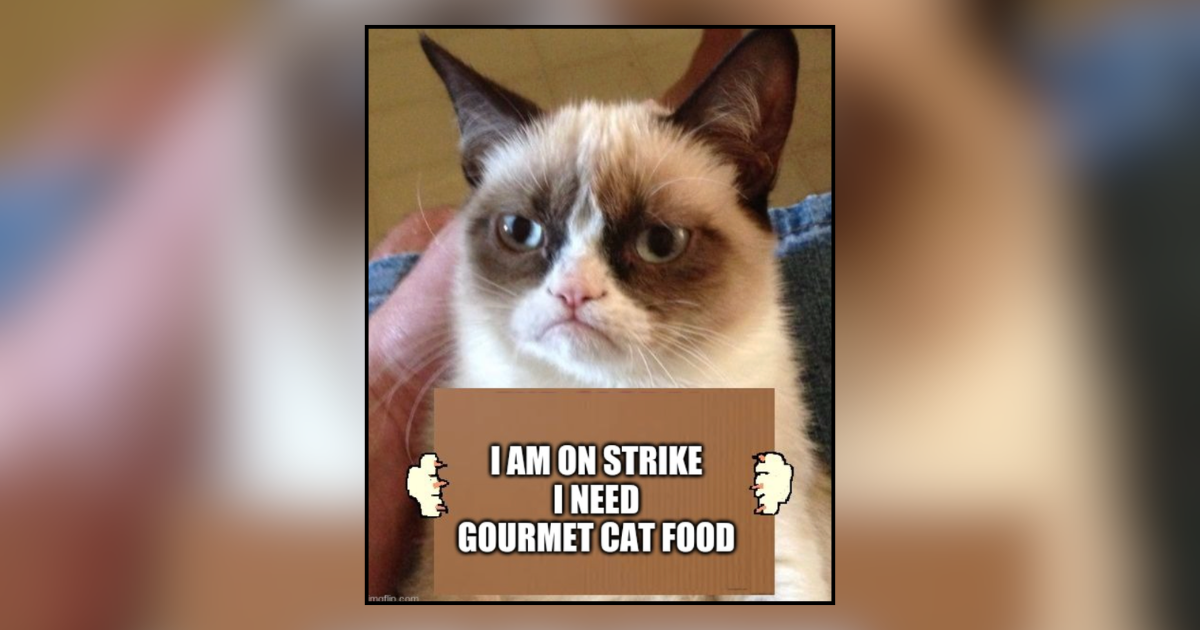 23 Flavorful Memes of Foodie Felines Demanding Deluxe Dinners - I Can ...