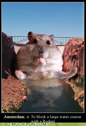 Puns - dam - Funny Puns - Pun Pictures - Cheezburger