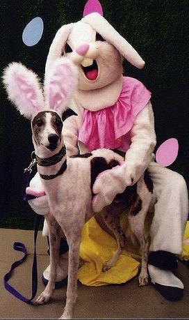 Easter - sketchy bunnies