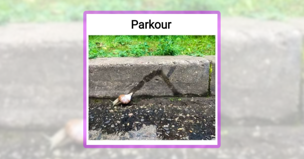 20 Saturday Snail Memes for a Slow Weekend Morning - Animal Comedy ...