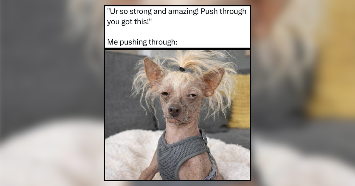 25 Destressing Dog Memes for Overloaded Pawrents - Animal Comedy ...