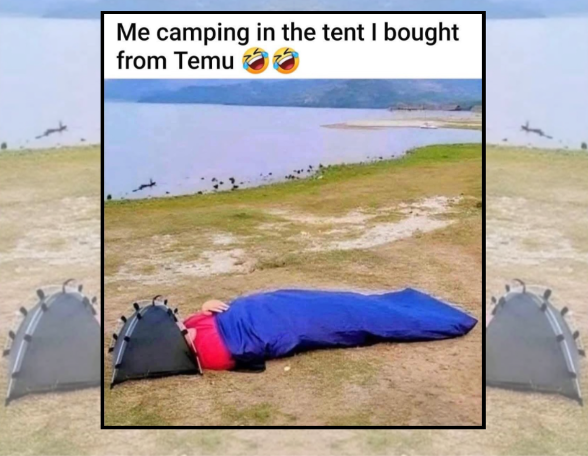 21 Online Shoppers Got Hoodwinked by Hilarious Temu Purchases ...