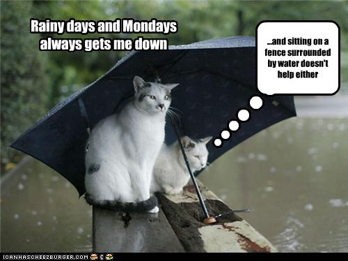 Rainy days and Mondays always gets me down - I Can Has Cheezburger?