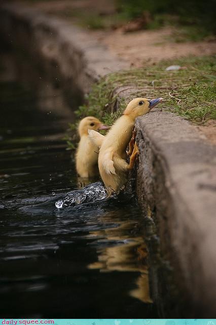 I Can Has Cheezburger? - Gravity - Page 5 - Funny Animals Online ...