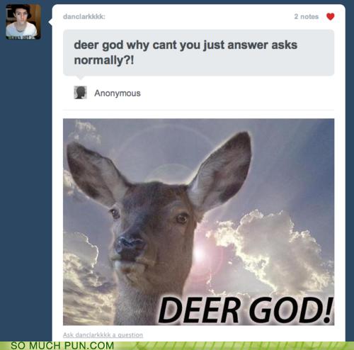 Puns - deer - Funny Puns - Pun Pictures - Cheezburger