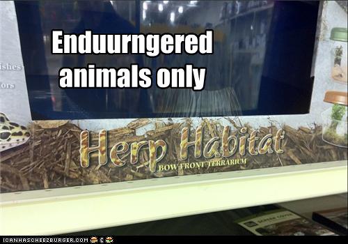 Derp - animals - Derp Face Derps - hurr durr derp face - derp - Cheezburger