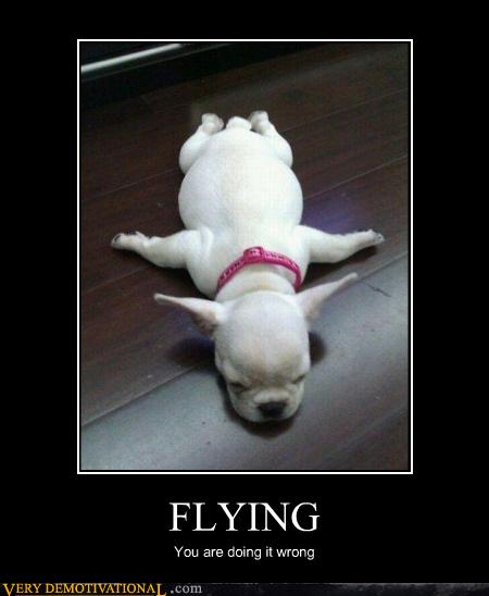 FLYING - Very Demotivational - Demotivational Posters | Very ...