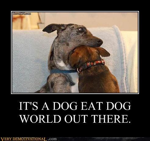 IT'S A DOG EAT DOG WORLD OUT THERE. - Very Demotivational ...