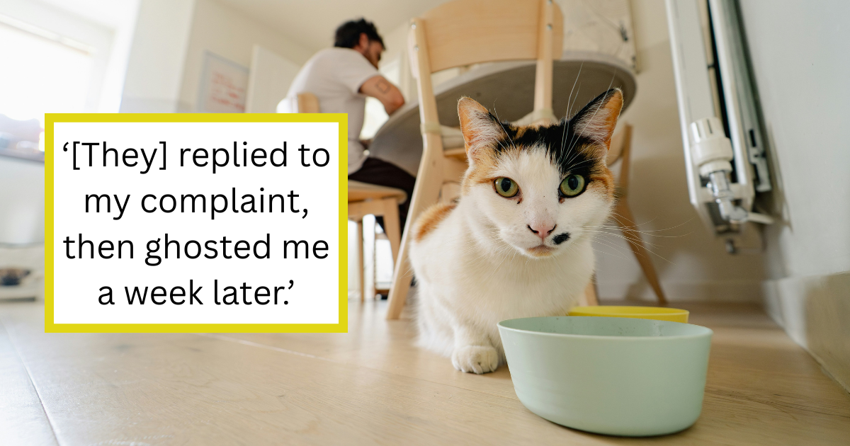 Cat owner claims popular feline food brand quietly changed their ...
