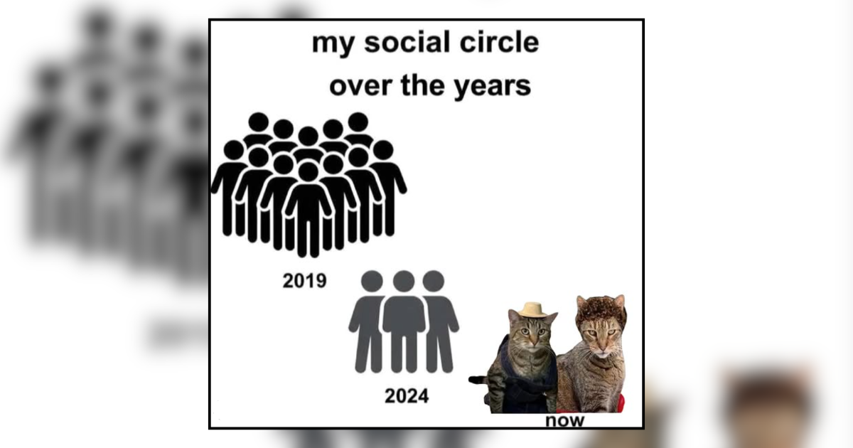 'Introverted but willing to talk to cats': 26 Memes to Relate to When ...