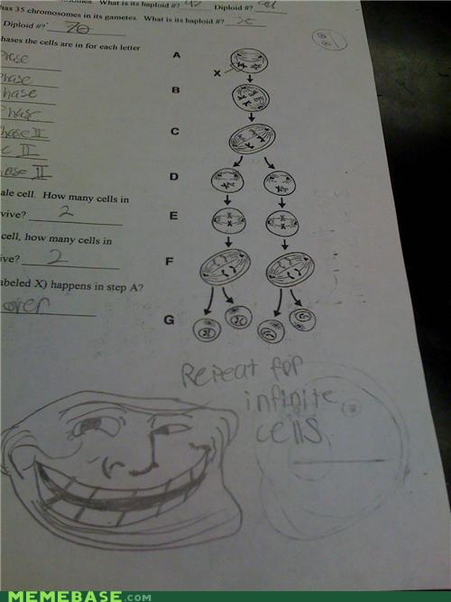 Division. Problem? - Memebase - Funny Memes