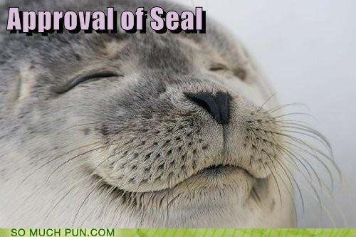 Puns - seal of approval - Funny Puns - Pun Pictures - Cheezburger