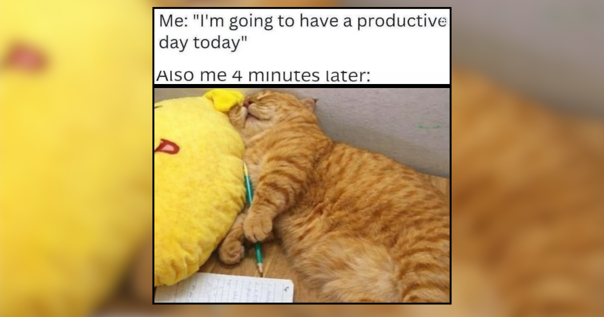 An Endless Abyss of Cat Memes For Sunday Procrastination - I Can Has ...
