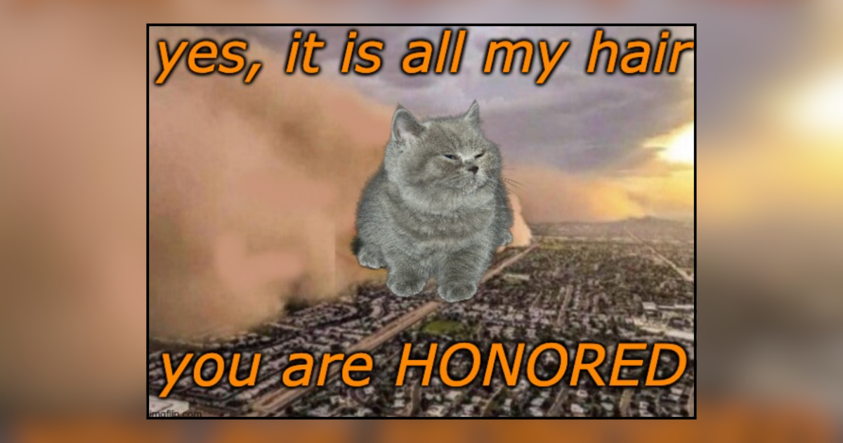 29 Fluffy Memes of Cats Shedding Their Way Across Every Surface in the ...