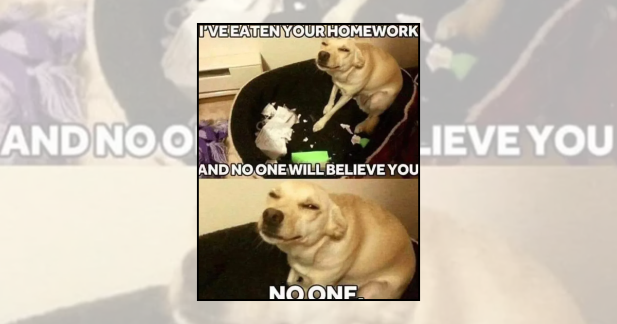 ‘I swear it wasn’t me’: 23 Dog Memes Capturing Mischievous Doggos in ...