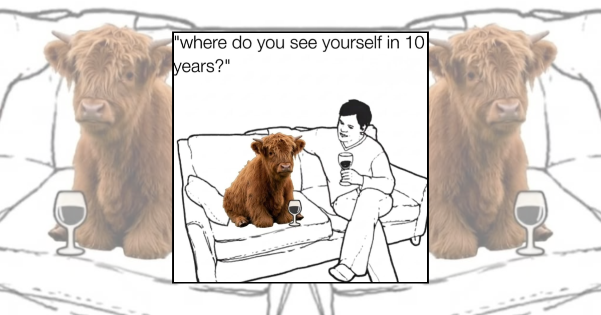 Here's a Moo-velous Collection of 23 Cow Memes to Keep You Grazing and ...