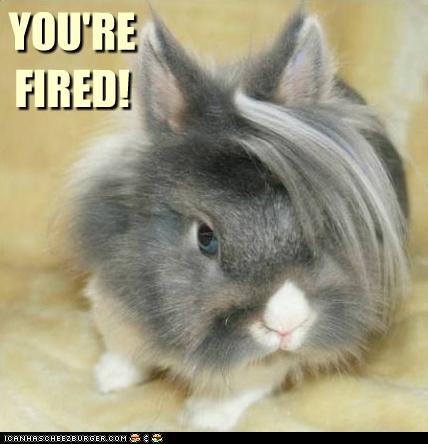 I Can Has Cheezburger?