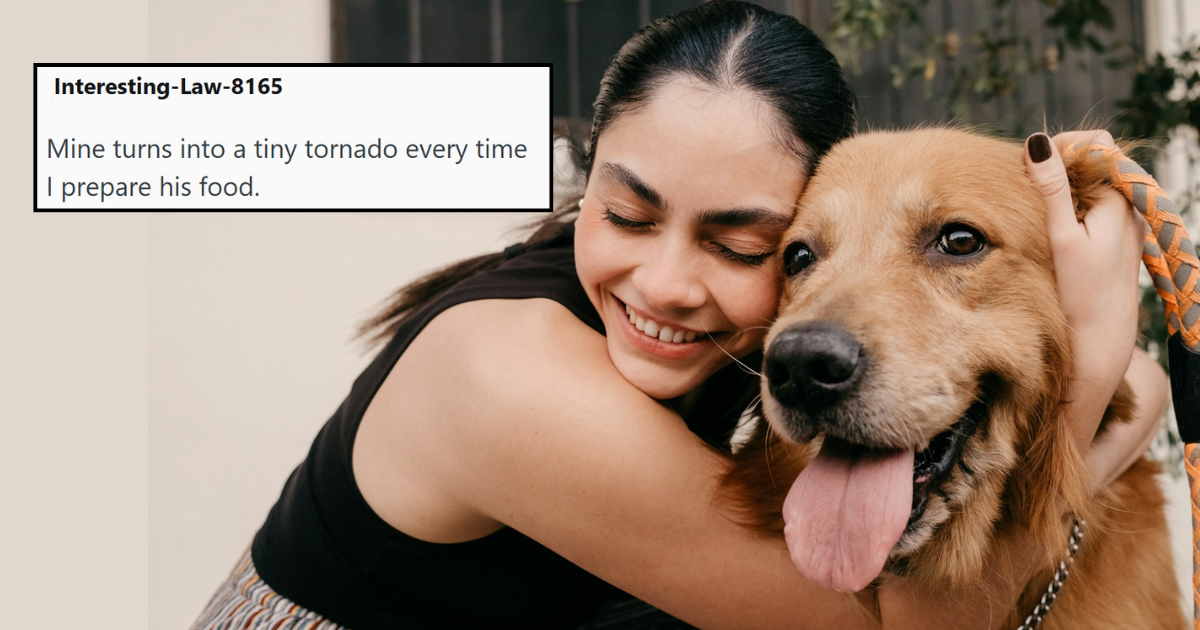 Pawrents Reveal the 22 Weirdest Habits Their Doggos Taught Themselves ...