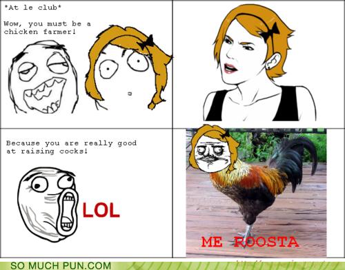 Puns - rooster - Funny Puns - Pun Pictures - Cheezburger