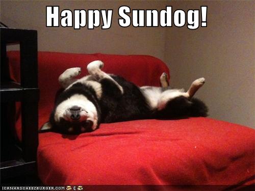 I Has A Hotdog - Dog Pictures - Funny pictures of dogs - Dog Memes ...