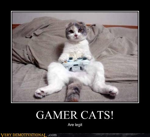 GAMER CATS! - Very Demotivational - Demotivational Posters | Very ...