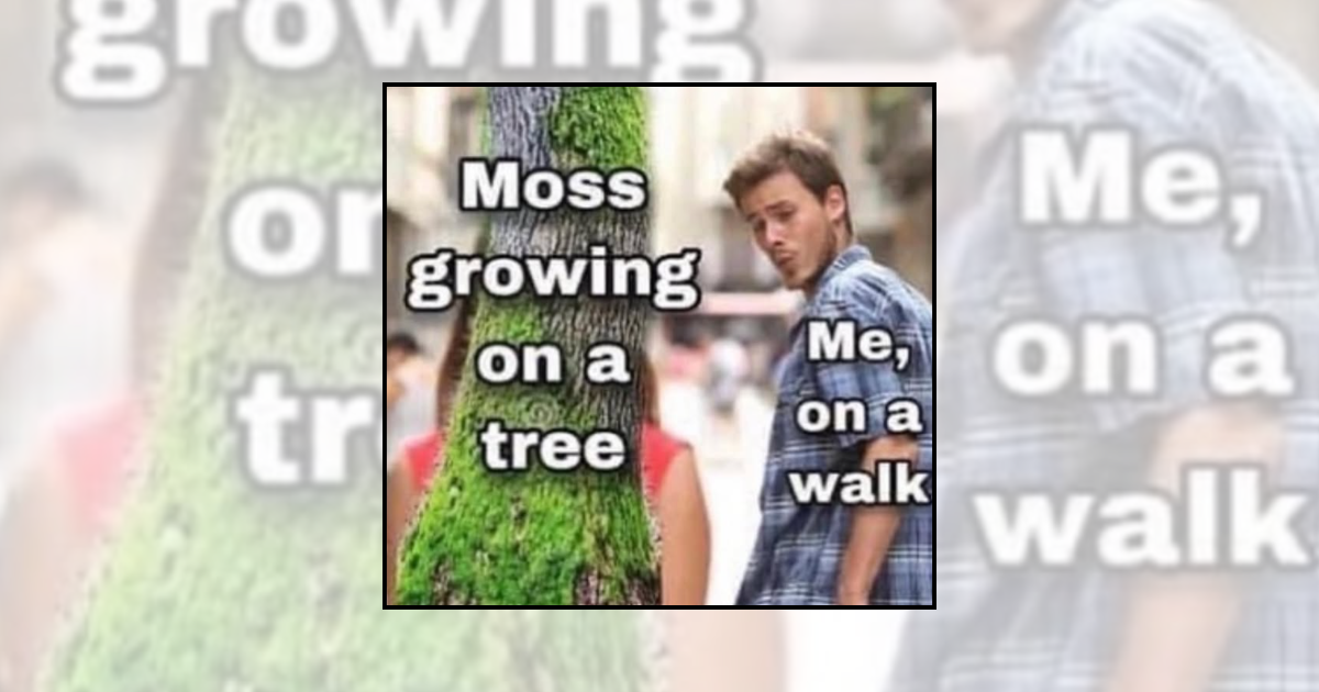 'I just love a good leaf': 23 Nature Memes for People Who Get Excited ...