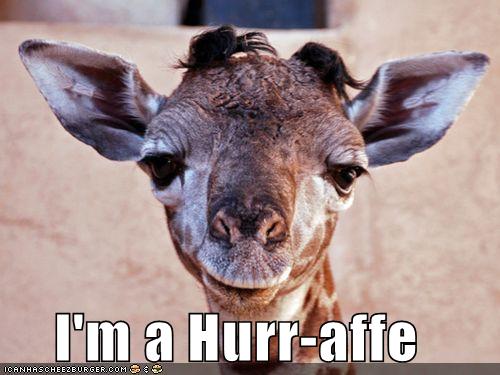 Derp - animals - Derp Face Derps - hurr durr derp face - derp - Cheezburger