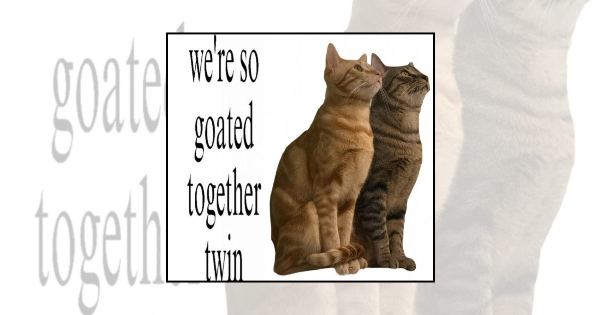 22 Twin Cat Memes to Send Your Twin Who Shares Your One Brain Cell - I ...