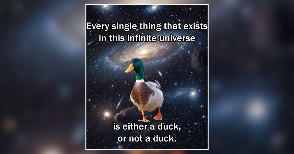 Dang Good Duck Memes Delivering Mood Boosting Bliss - Animal Comedy ...