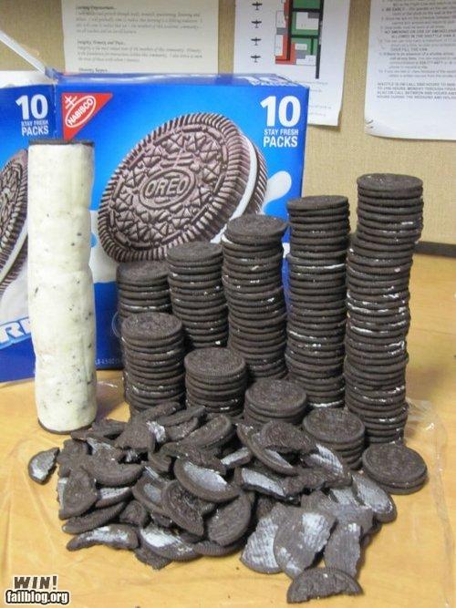 Classic: Overstuffed WIN - WIN! - epic win photos