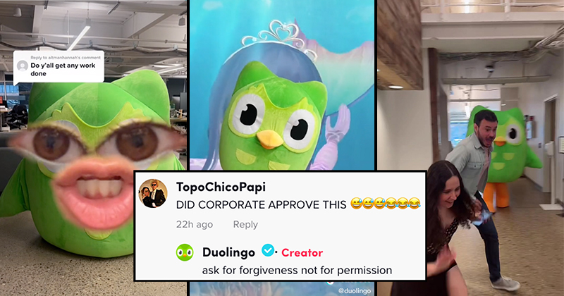 Duolingo Has Become Completely Unhinged on TikTok, They're the ...
