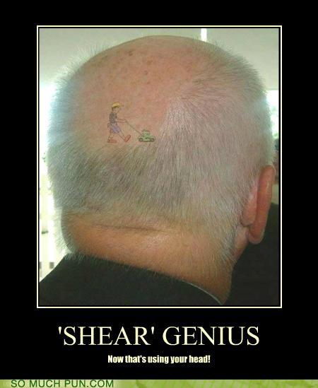 Puns - shear - Funny Puns - Pun Pictures - Cheezburger