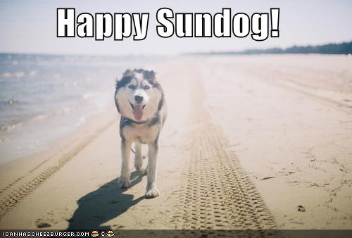 I Has A Hotdog - Dog Pictures - Funny pictures of dogs - Dog Memes ...