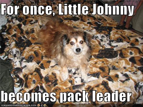 I Has A Hotdog - Dog Pictures - Funny pictures of dogs - Dog Memes ...