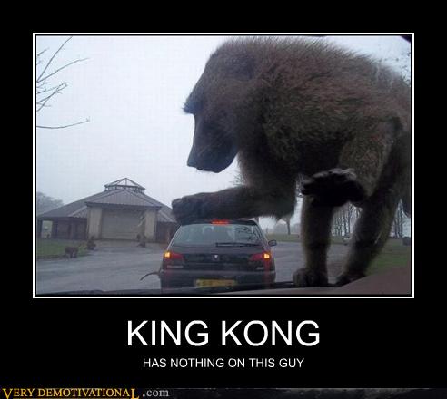 Very Demotivational - king kong - Very Demotivational Posters - Start ...