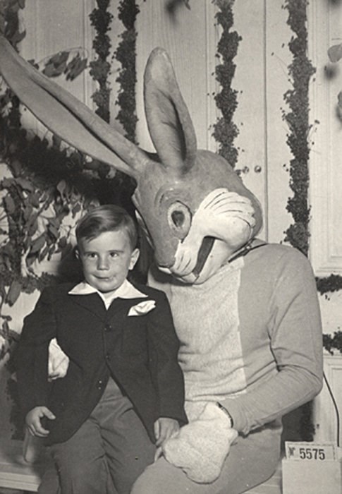 This Sketchy Bunny Knows an Easy Steal When He Sees One - Easter ...