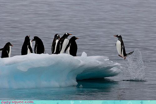 Daily Squee - Cute Animals - Cute Baby Animals - Cute Animal Pictures ...