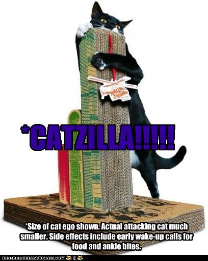 *CATZILLA!!!!! - Lolcats - lol | cat memes | funny cats | funny cat ...