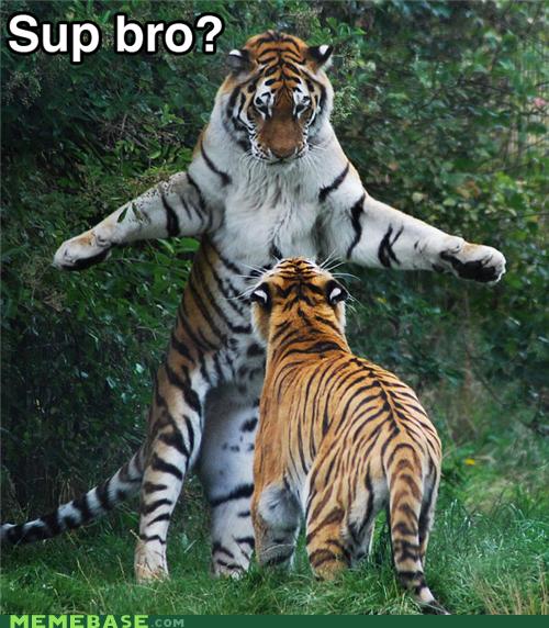 SUP BRO? - Memebase - Funny Memes